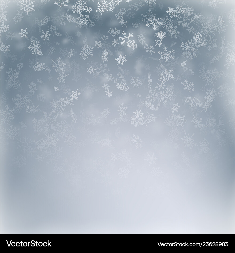 Snowflake flying card or banner with snow Vector Image
