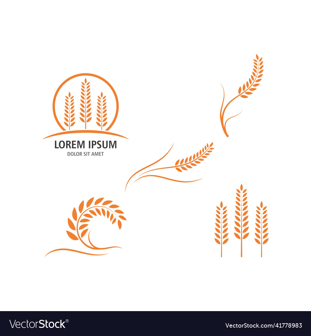 Wheat Royalty Free Vector Image - VectorStock