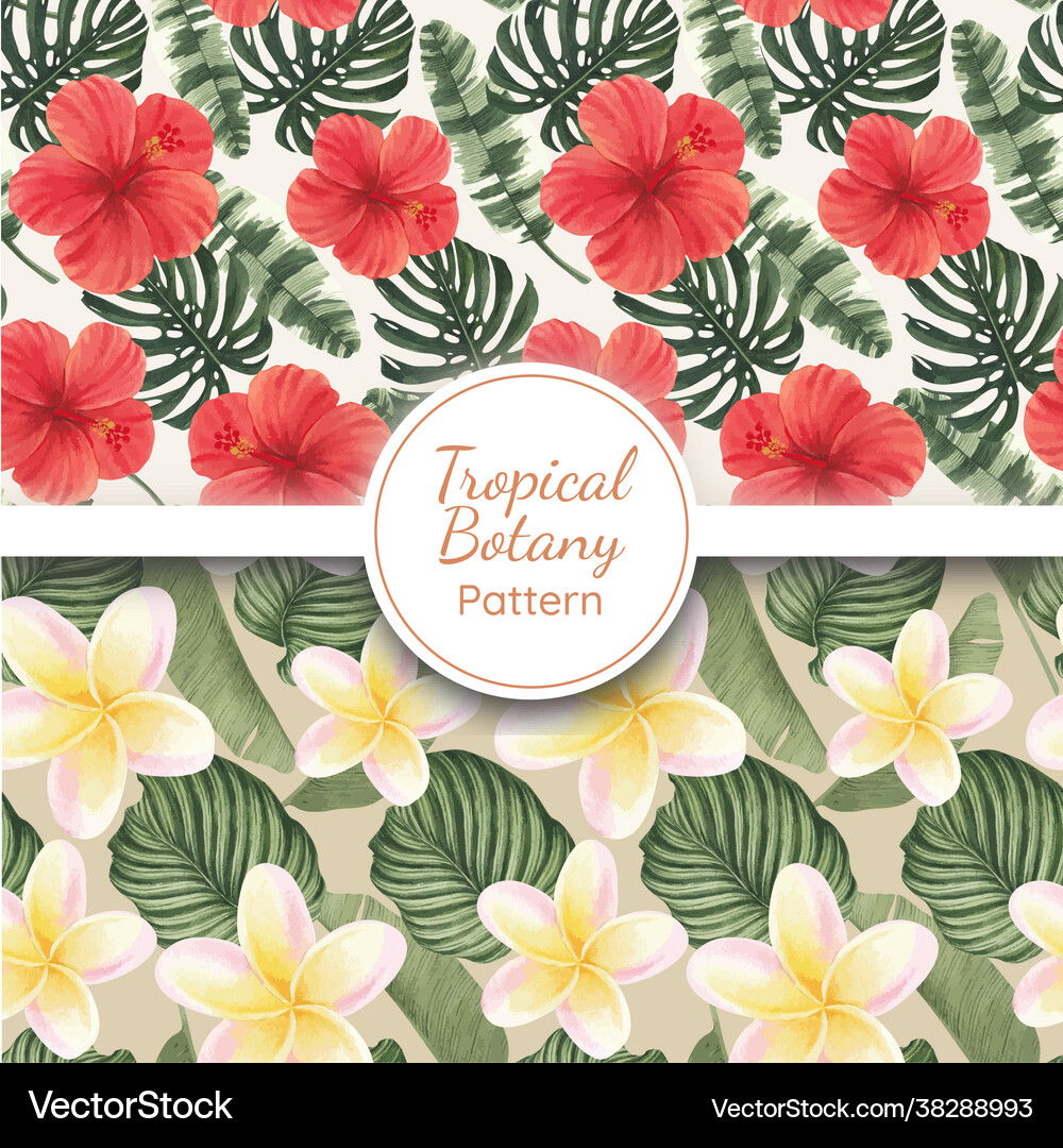 Pattern seamless with tropical botany concept Vector Image