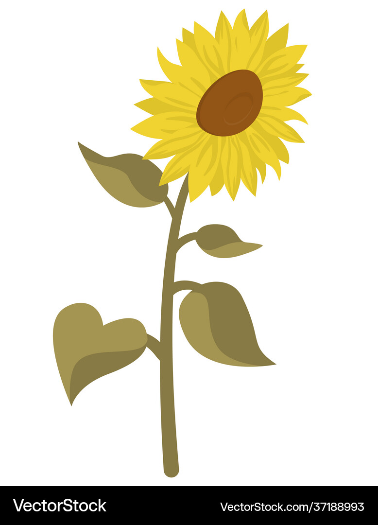 Sunflower in cartoon style Royalty Free Vector Image