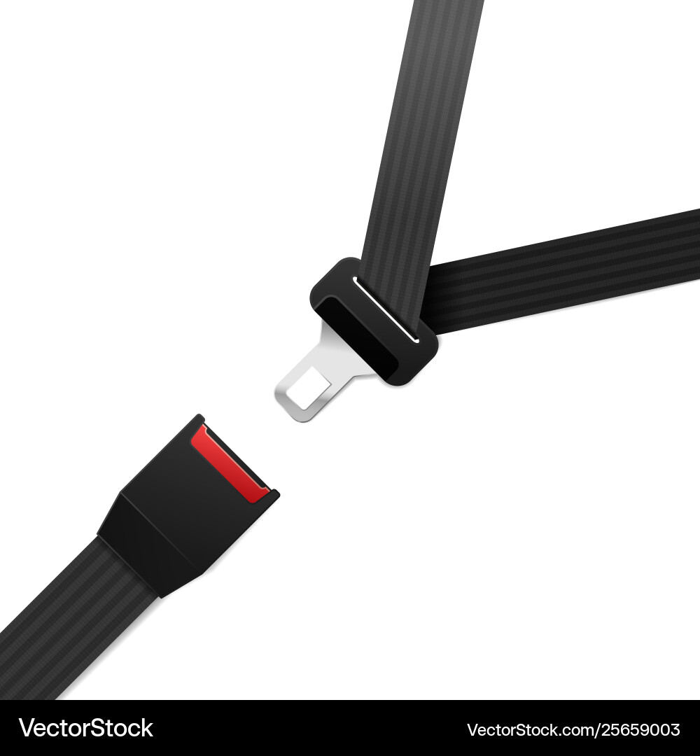 Black realisitc safety belt on white Royalty Free Vector