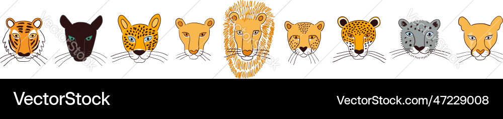 Big cats faces isolated collection color Vector Image