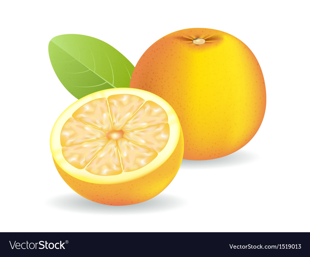 Orange Royalty Free Vector Image - VectorStock