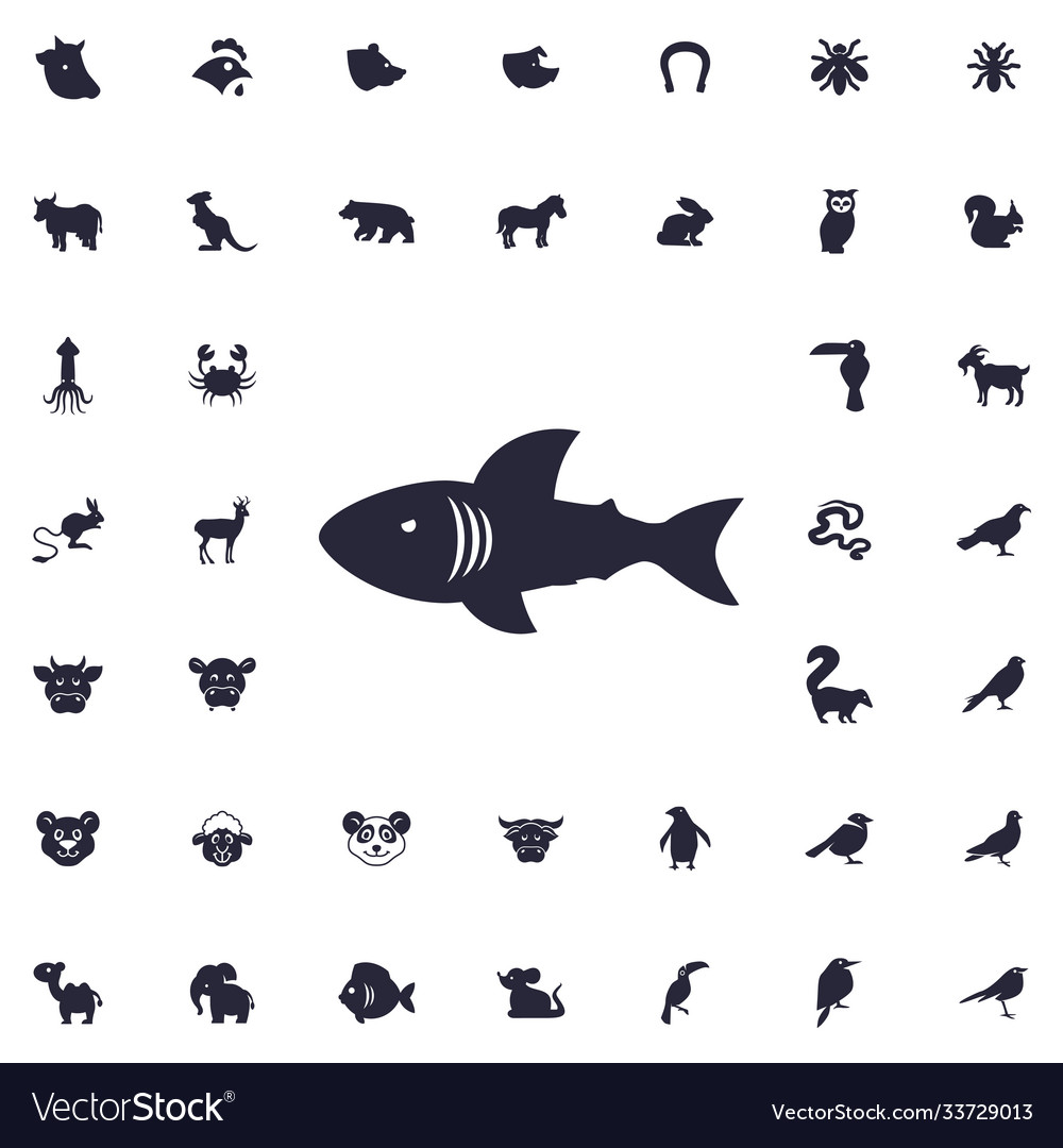 Shark icon Royalty Free Vector Image - VectorStock