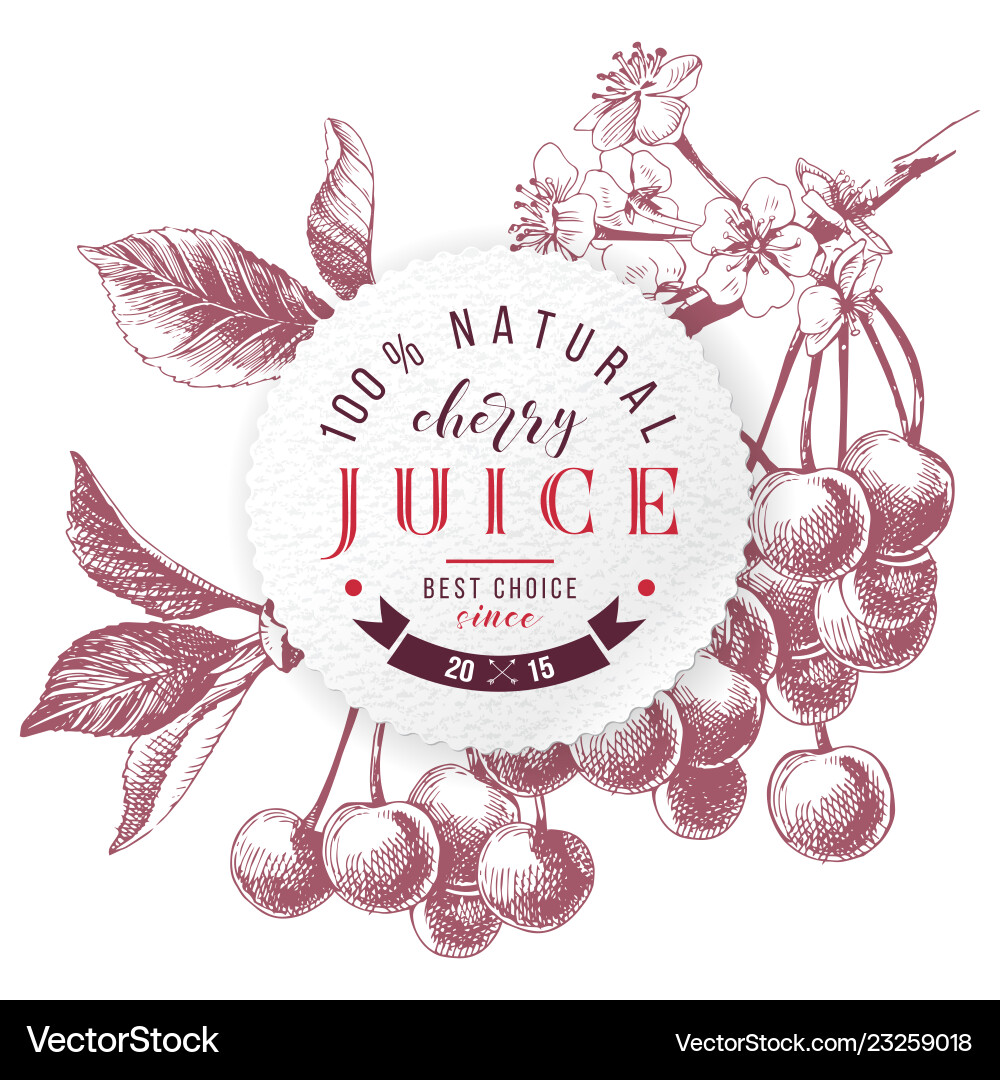 Cherry juice paper emblem over hand drawn Vector Image