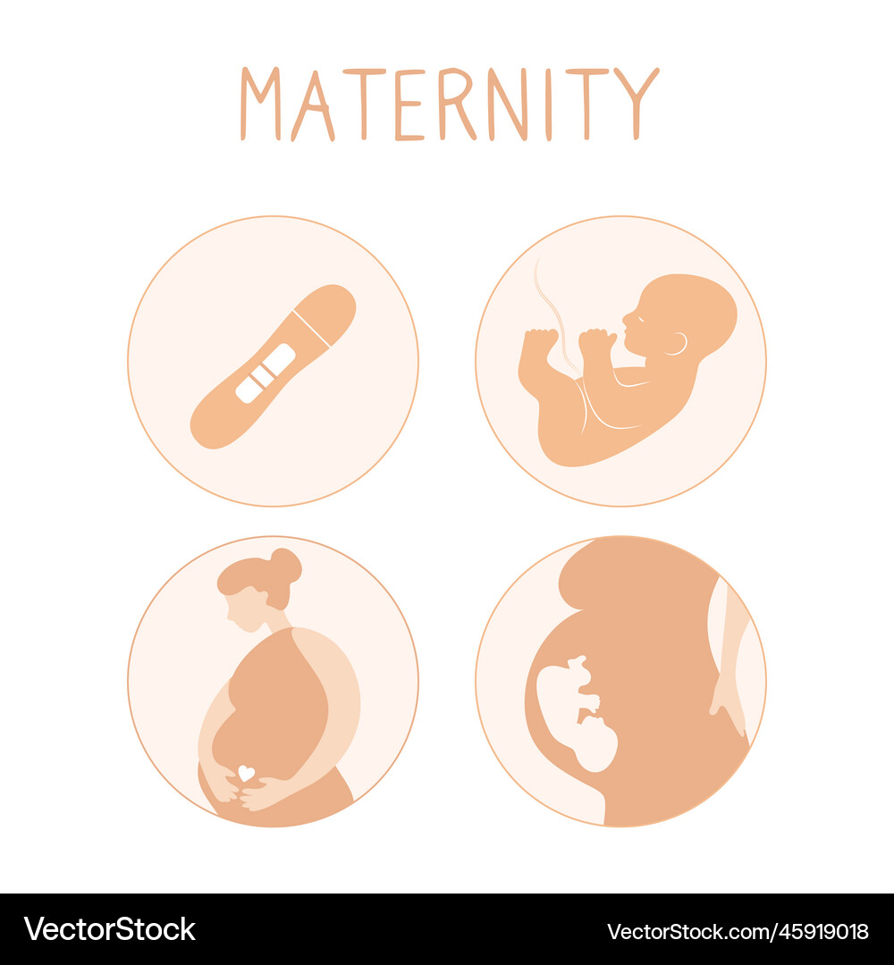 Maternity icon set fertilization and childbirth Vector Image