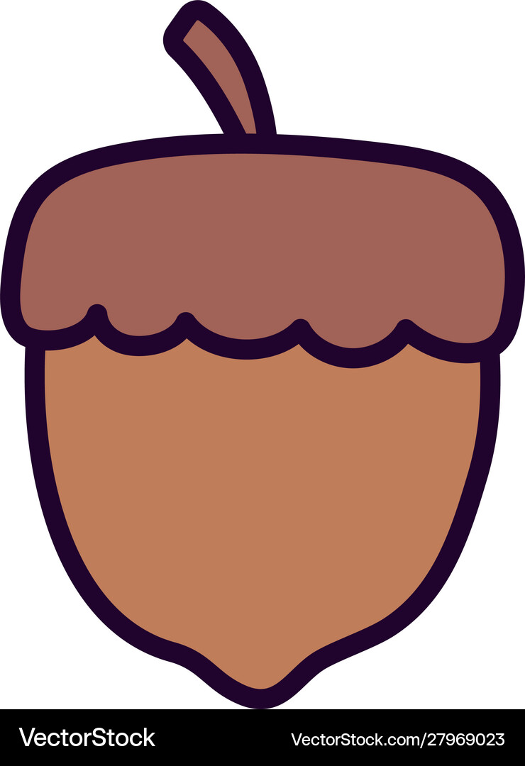 Autumnal acorn nut on white background Royalty Free Vector