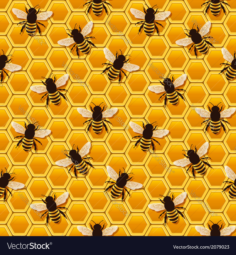 Bee Honeycomb Pattern Royalty Free Vector Image