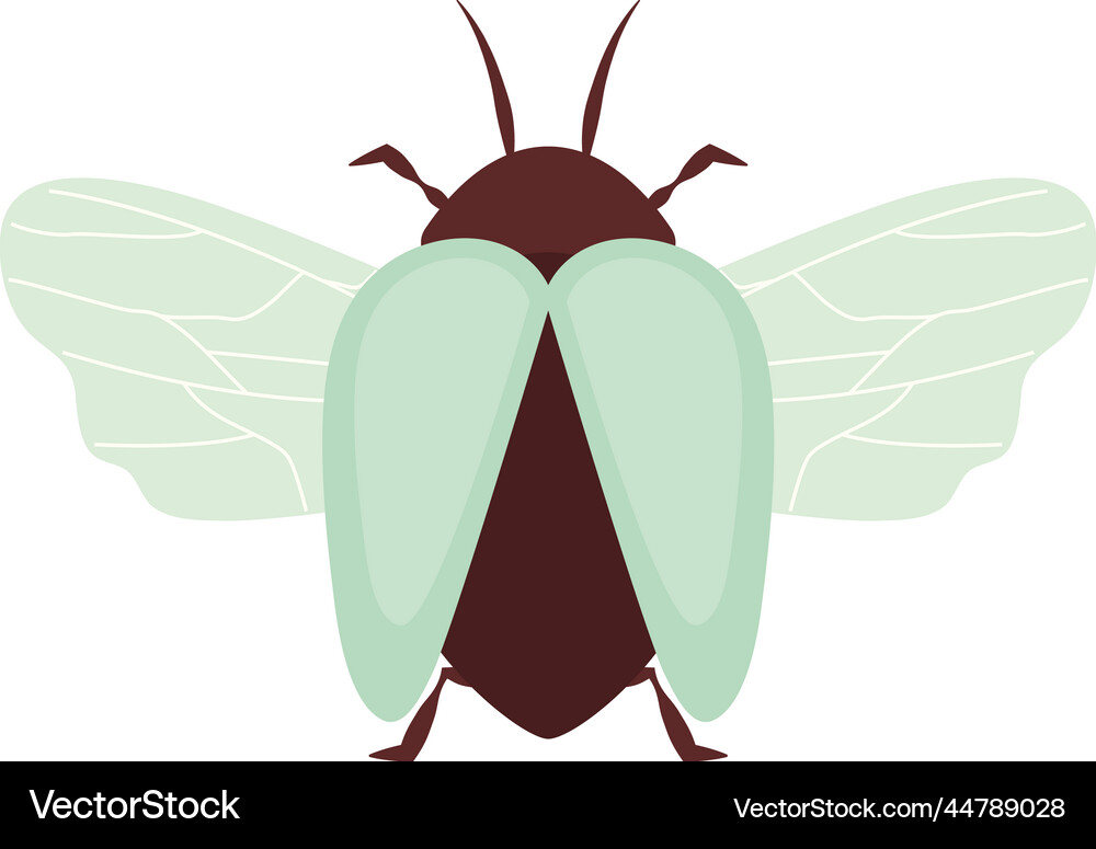 Colored beetle Royalty Free Vector Image - VectorStock