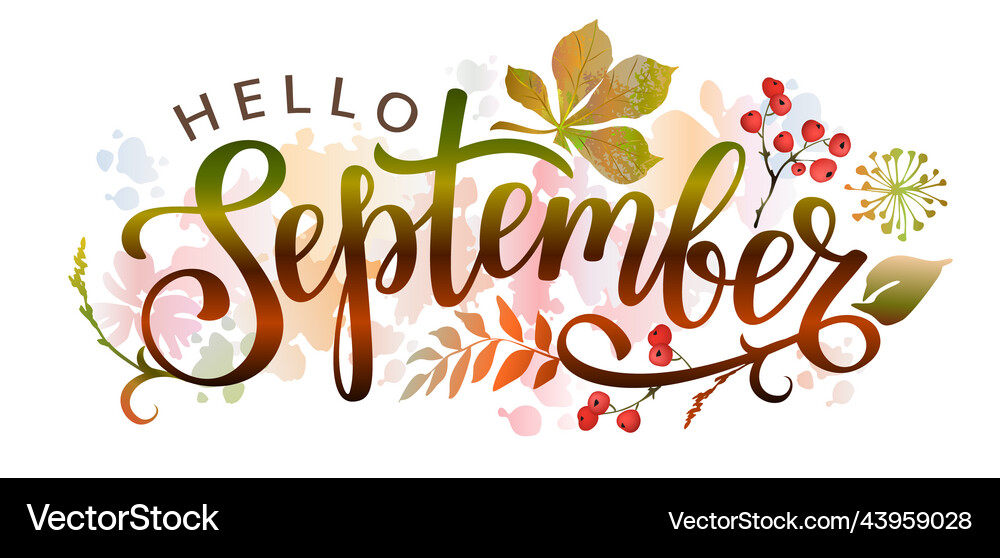 Hello september handwritten lettering with autumn Vector Image