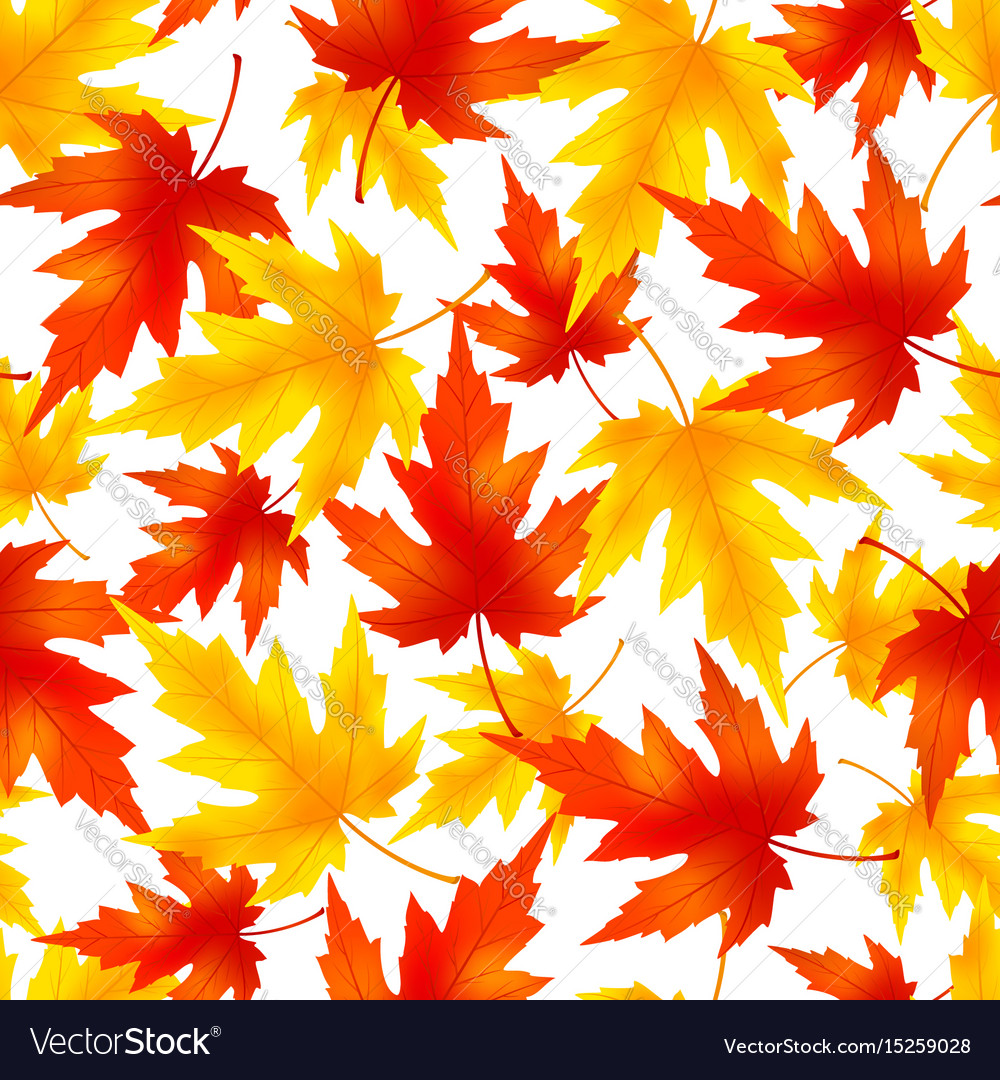 Seamless pattern with colorful leaf fall Vector Image