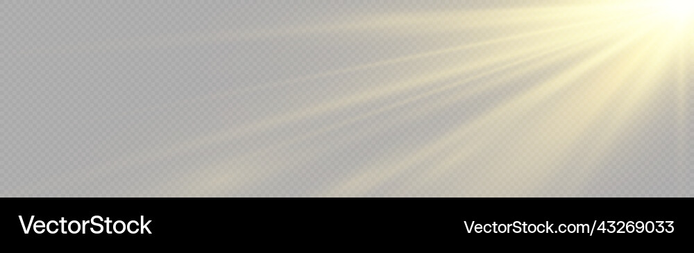 Gold sun rays light star flare glare sparkles Vector Image