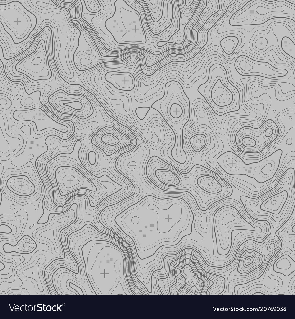 Seamless pattern topographic map background Vector Image