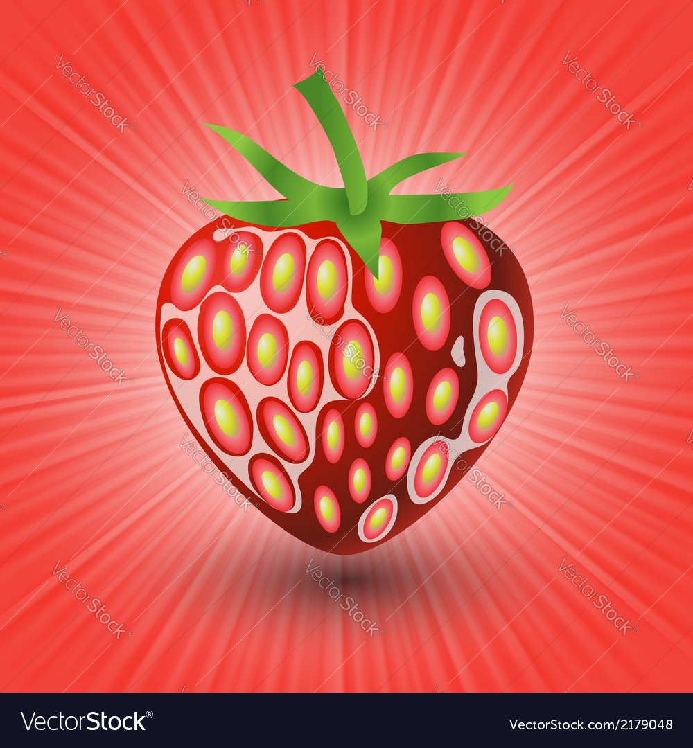 Strawberry Royalty Free Vector Image - VectorStock