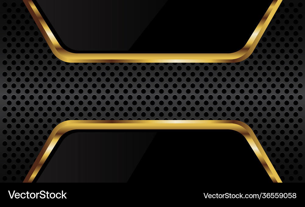 Abstract gold line black glossy grey circle mesh Vector Image