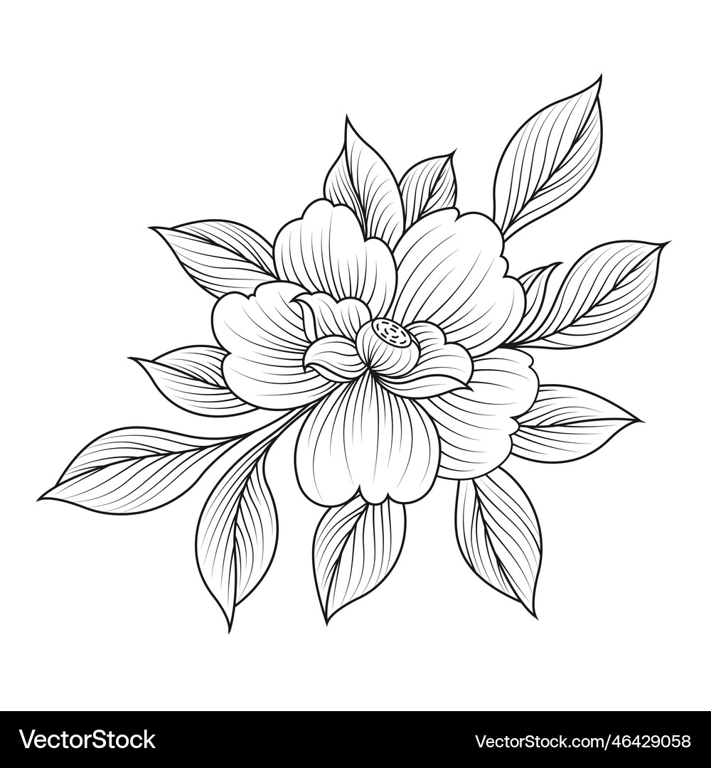 Floral coloring pages coloring background Vector Image