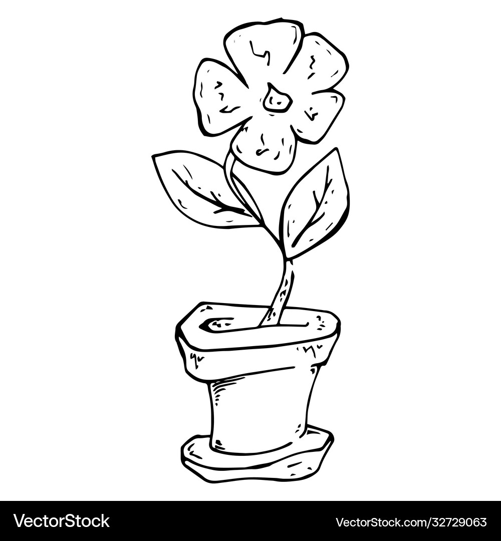 A flower in pot hand drawn pot Royalty Free Vector Image
