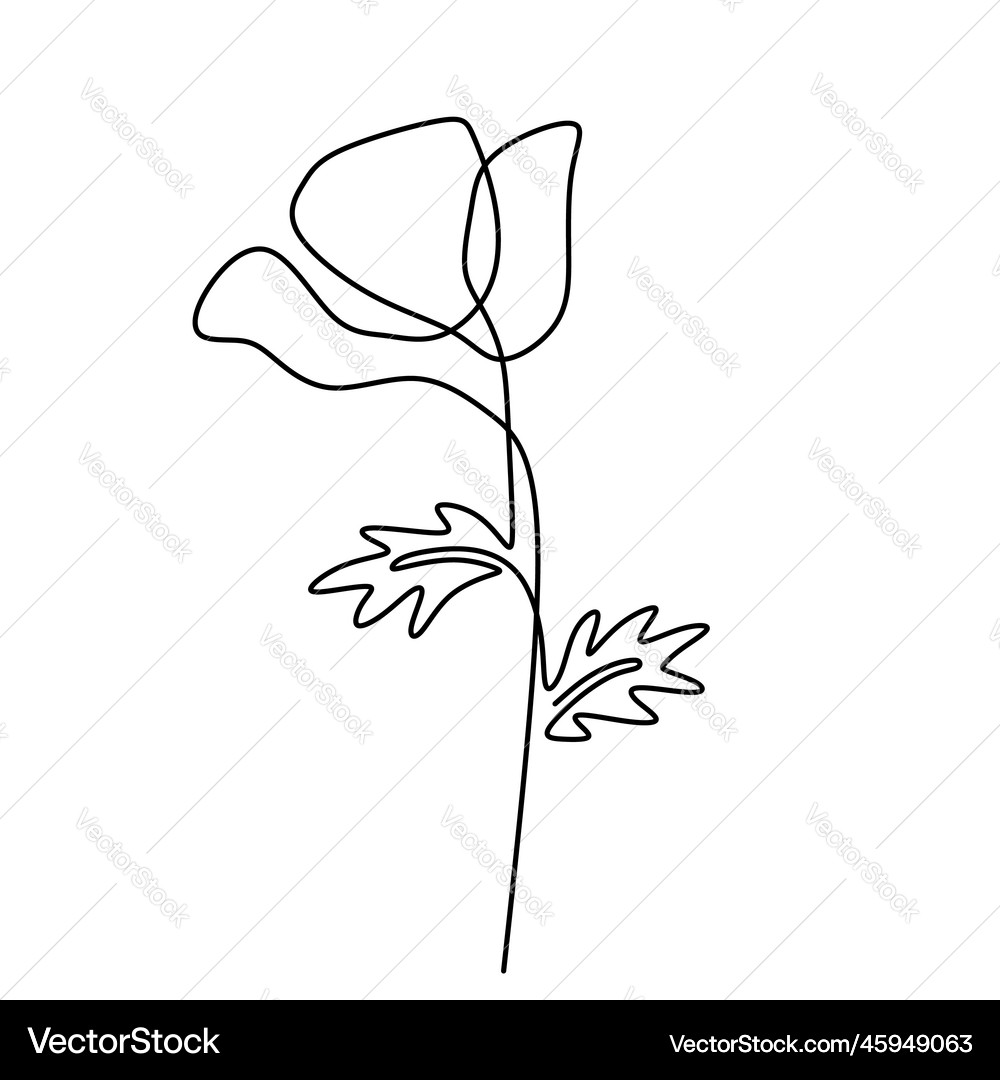 Poppy flower continuous line art hand drawn Vector Image