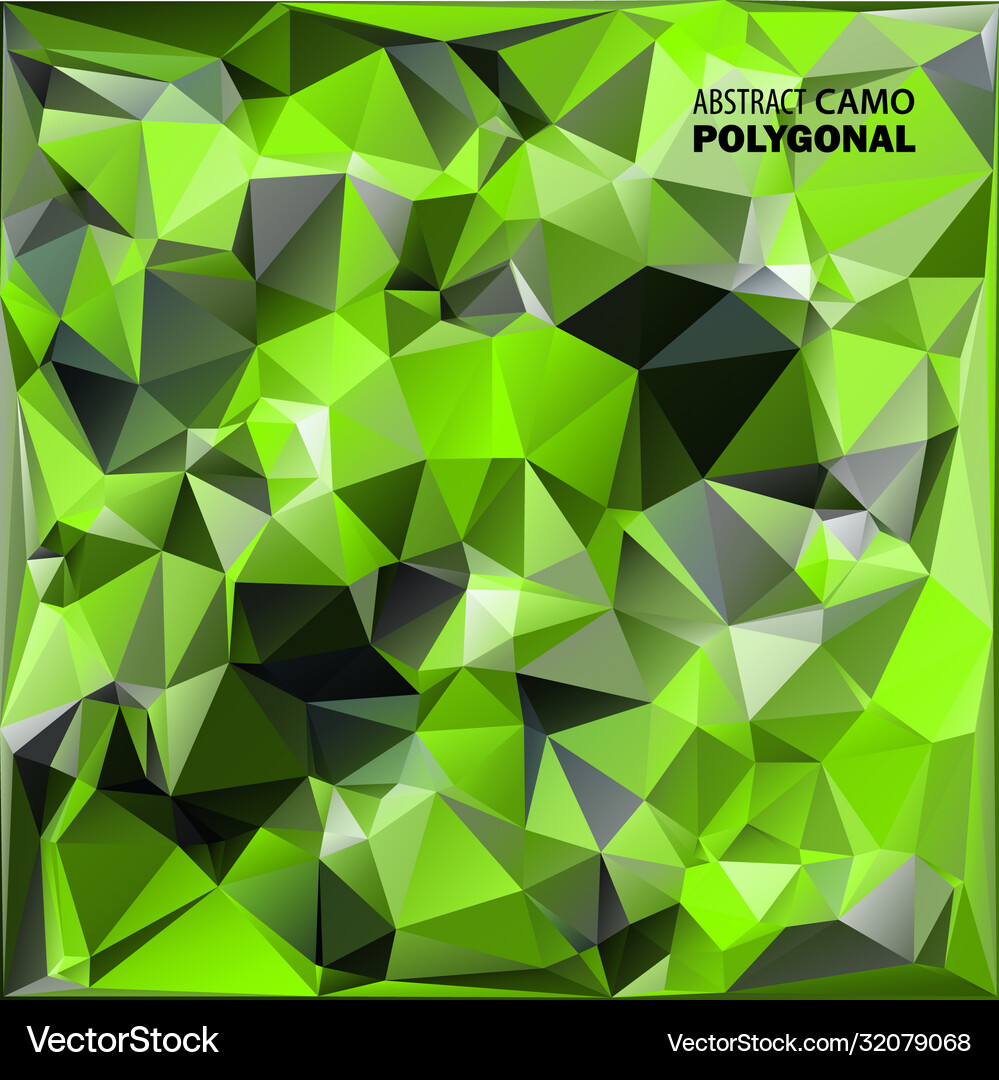 Abstract military camouflage background made Vector Image