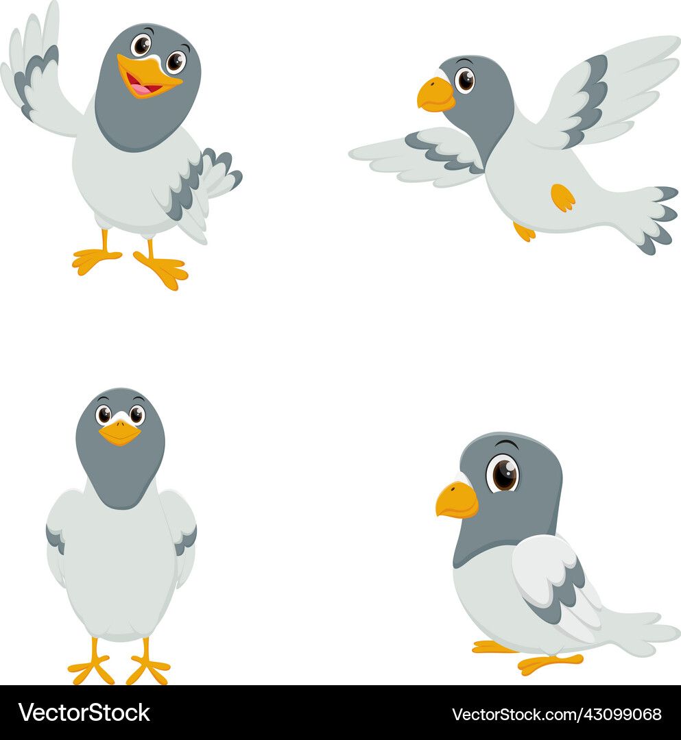 Cute pigeon cartoon set with different poses Vector Image