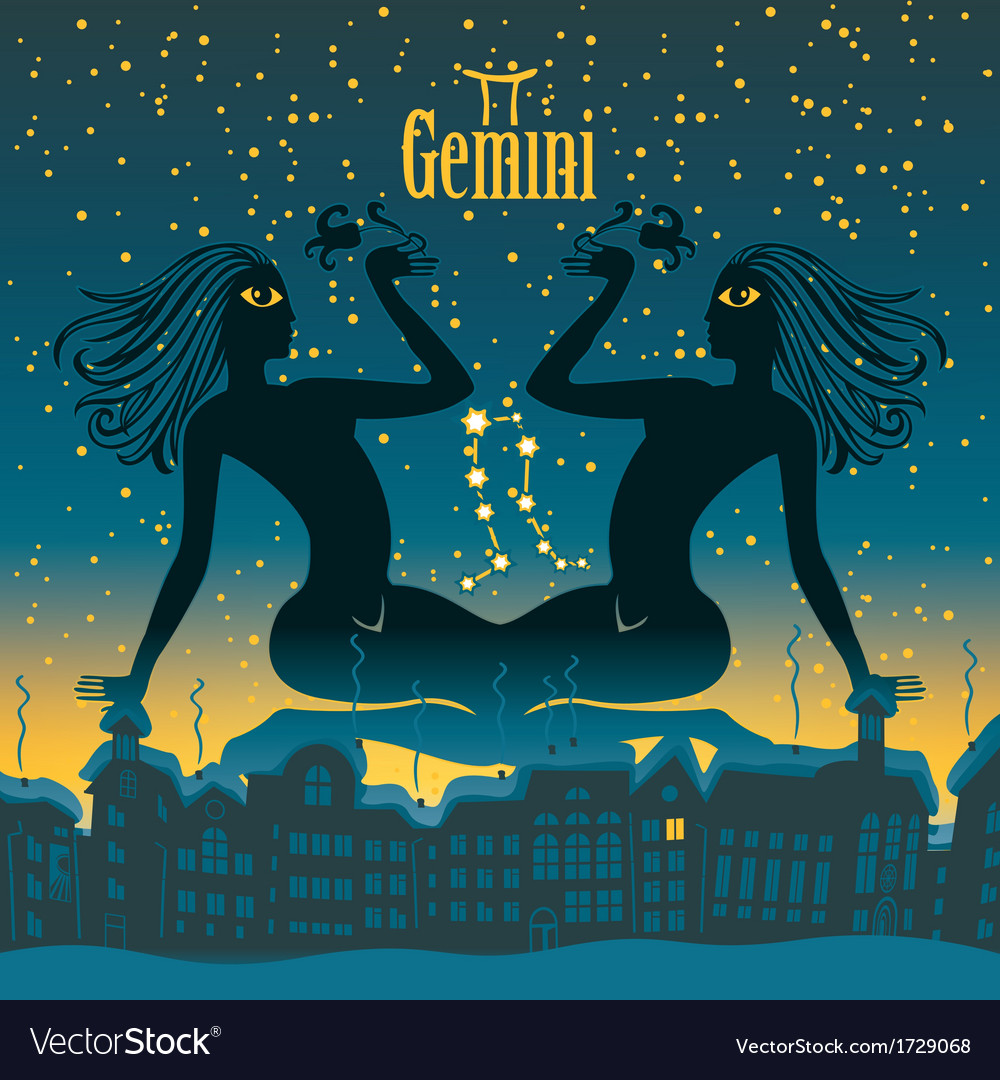 Gemini Royalty Free Vector Image - VectorStock