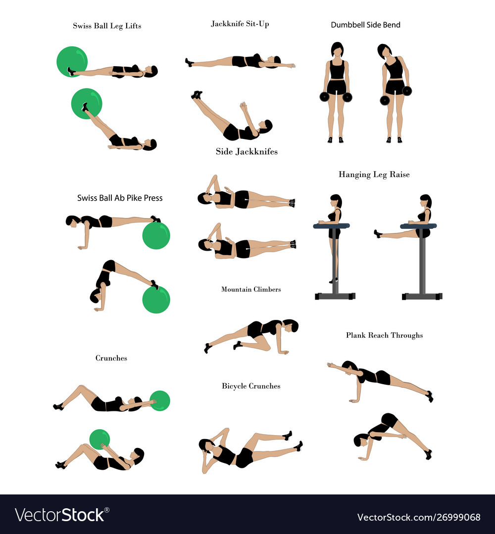 Workout exercise Royalty Free Vector Image - VectorStock