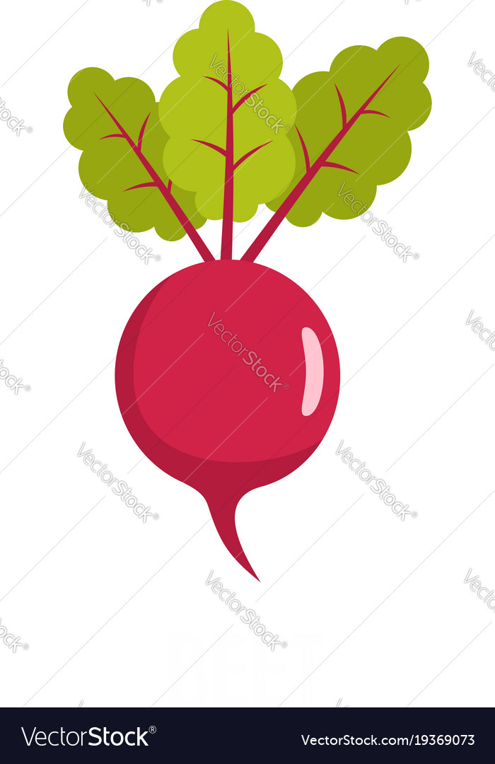 Beet icon flat style Royalty Free Vector Image Beet icon flat style Royalty Free Vector Image