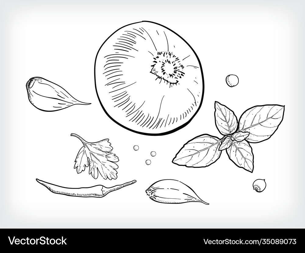 Line art set asian cooking spices Royalty Free Vector Image
