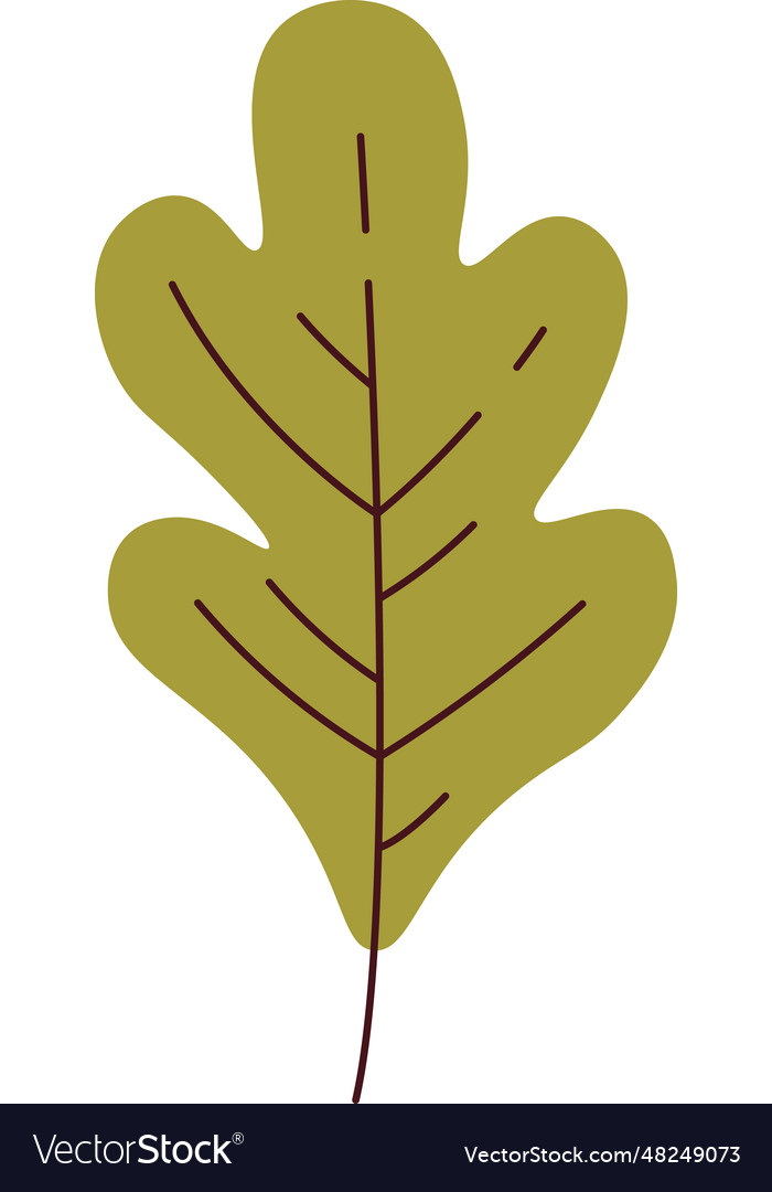 Tree leaf icon Royalty Free Vector Image - VectorStock