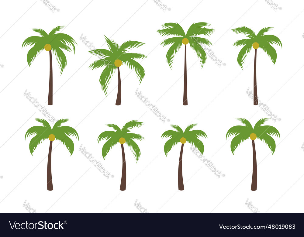 Palm tree set isolated on white background Vector Image