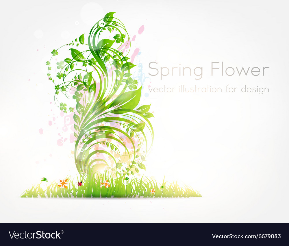 Spring flower background Royalty Free Vector Image