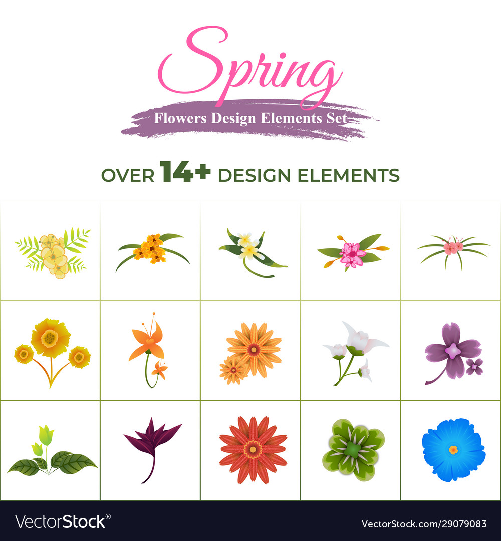 Spring flowers design elements set Royalty Free Vector Image
