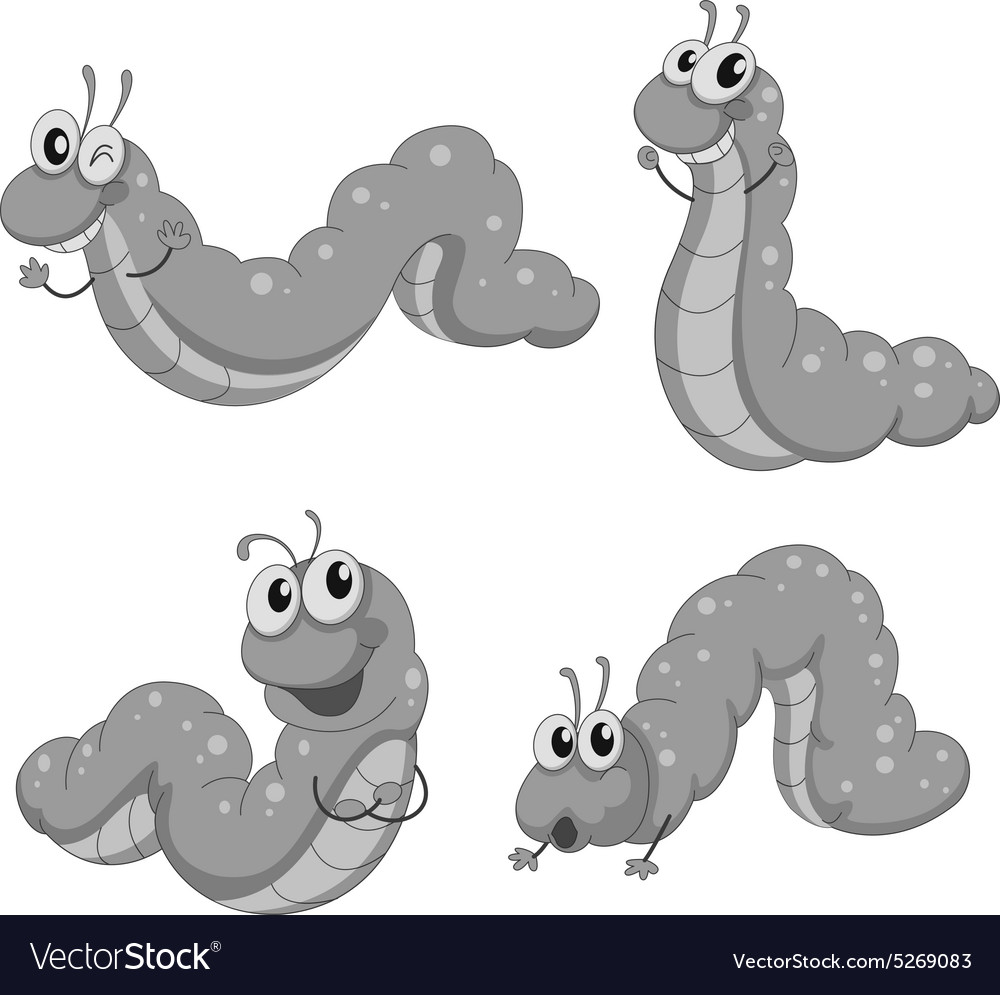 Worms Royalty Free Vector Image - VectorStock