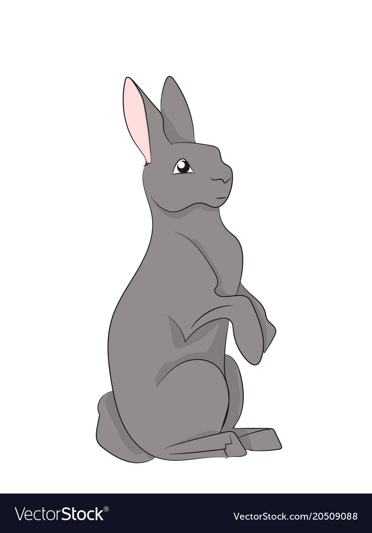 Hare gray Royalty Free Vector Image - VectorStock