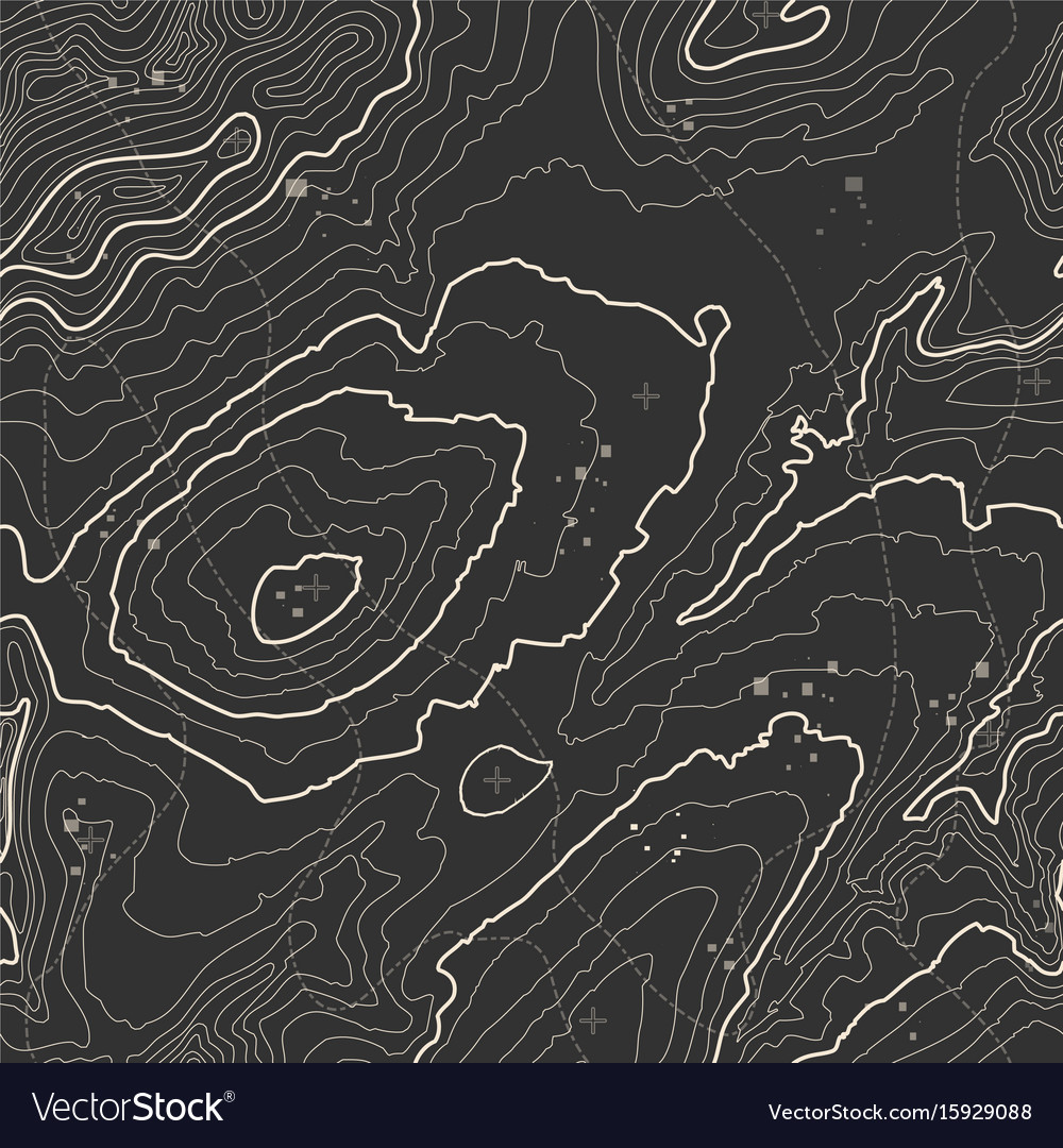 Seamless pattern topographic map background Vector Image
