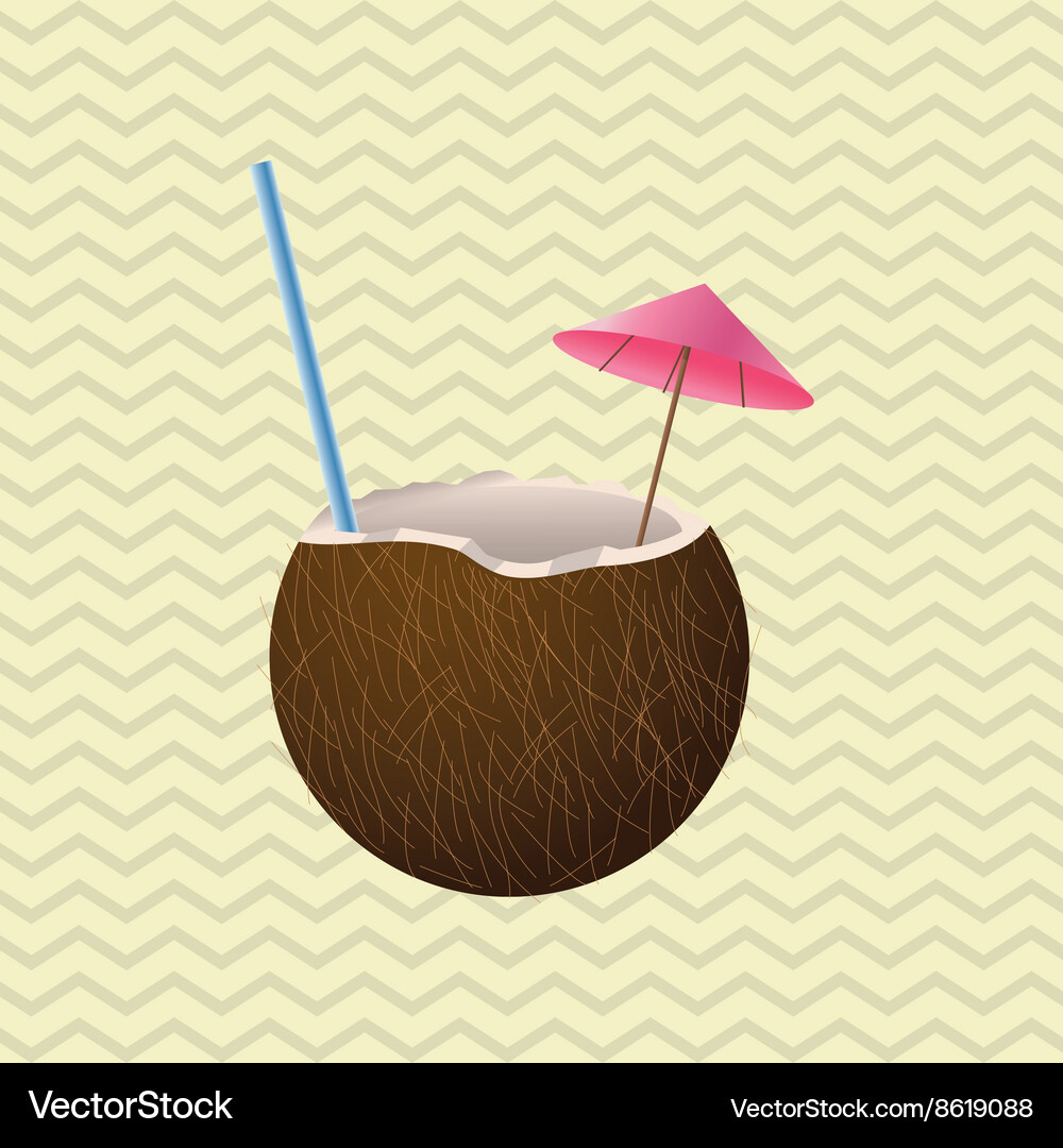 Tropical design coconut concept nature icon Vector Image