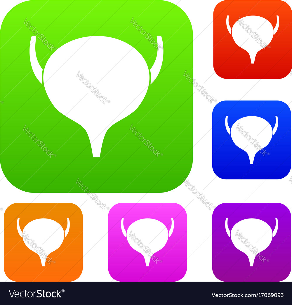 Bladder set collection Royalty Free Vector Image