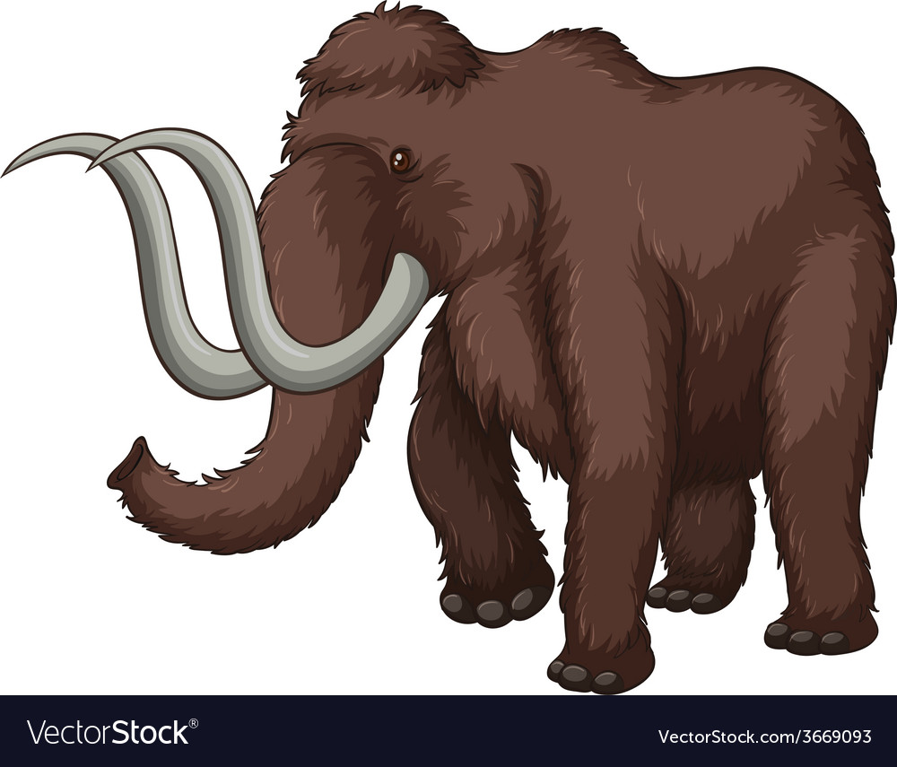Elephant Royalty Free Vector Image - VectorStock