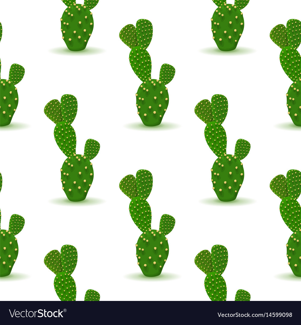Cactus seamless pattern Royalty Free Vector Image
