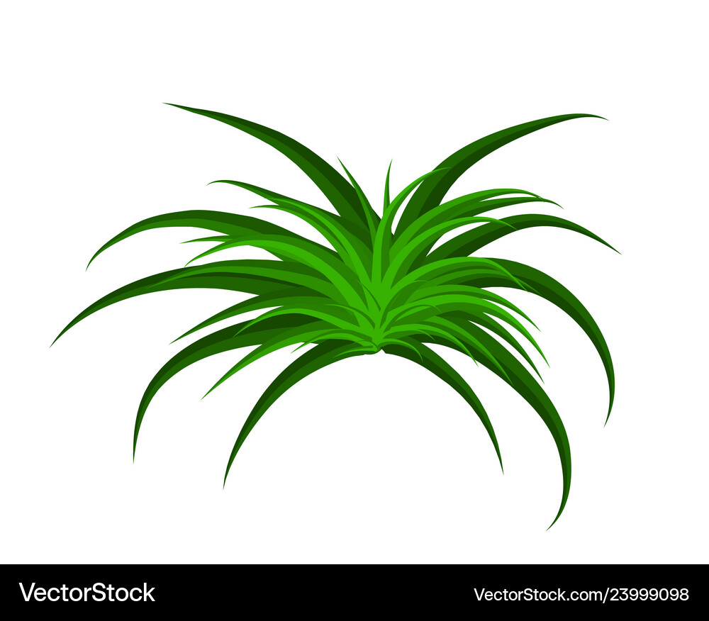 Grass symbol icon design beautiful isolated Vector Image