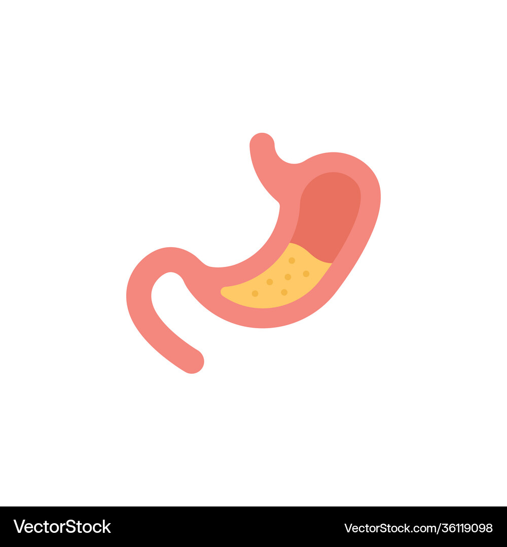 Human stomach and gastrointestinal system icon Vector Image