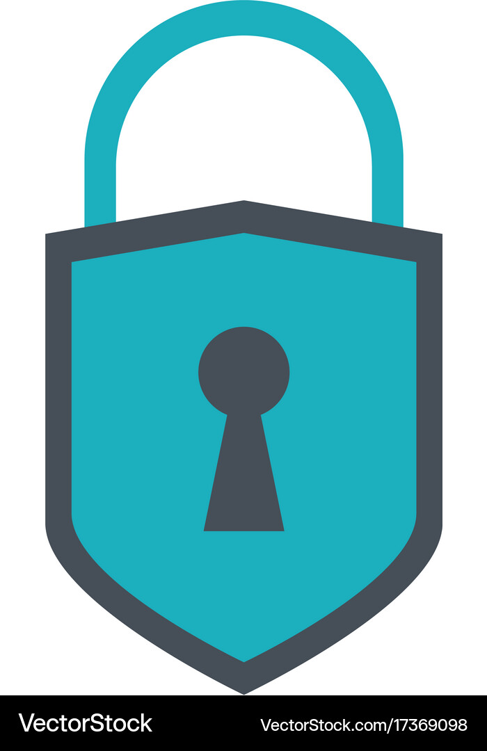 Safety lock with keyhole on front icon image Vector Image