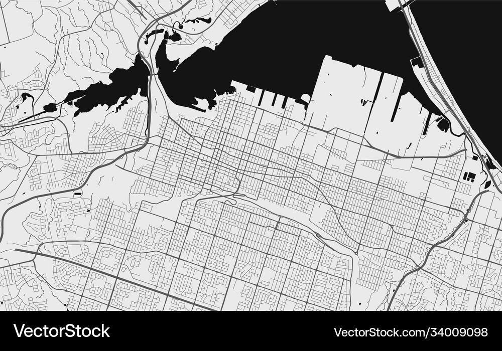 Urban city map hamilton poster grayscale Vector Image