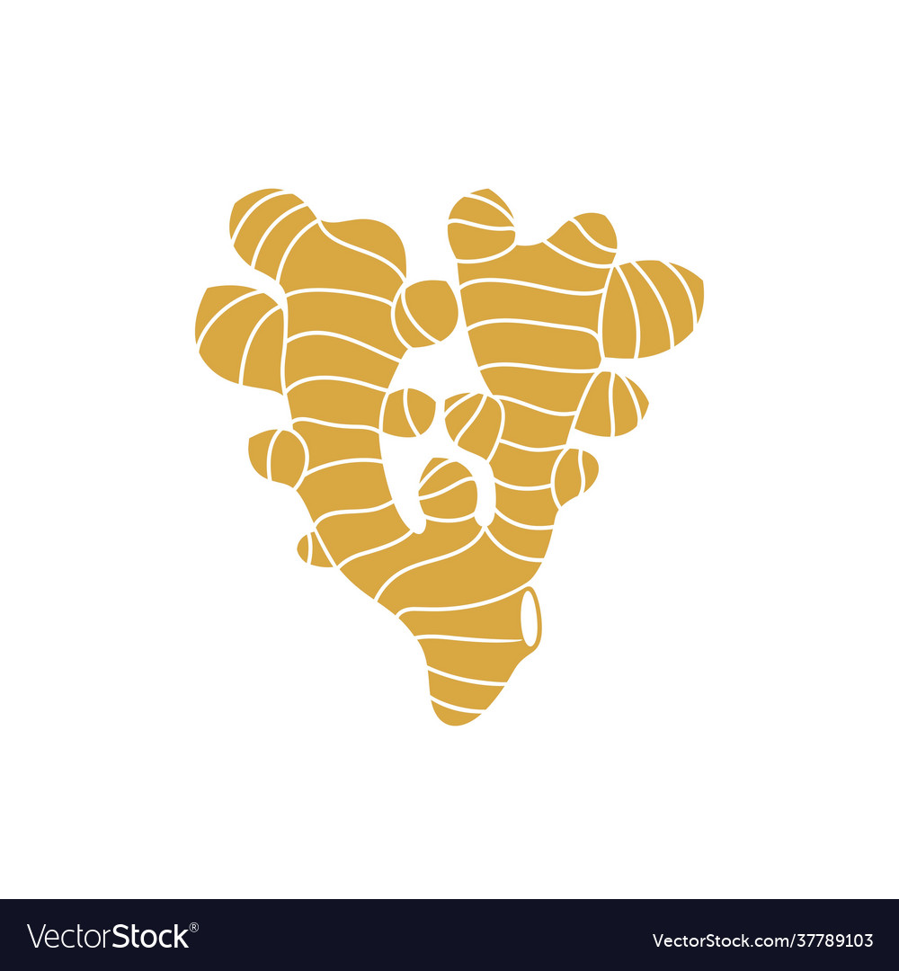 Ginger Royalty Free Vector Image - VectorStock