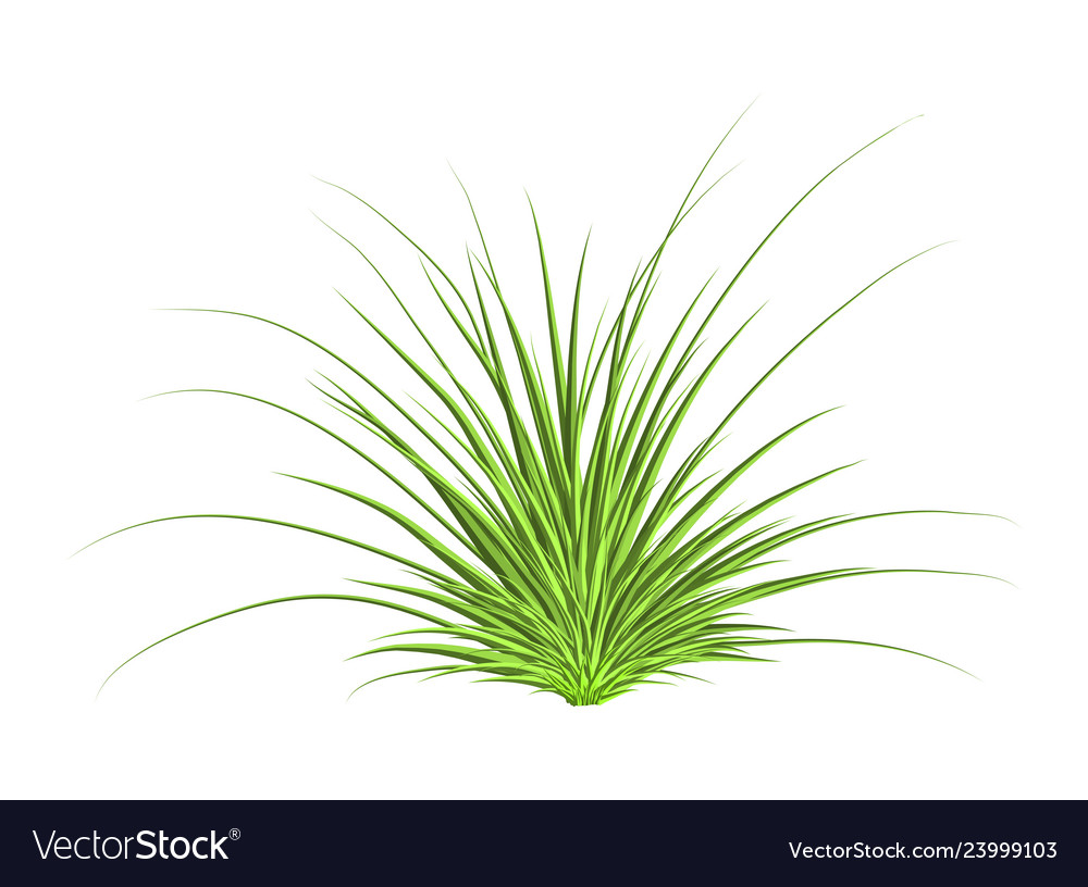 Grass symbol icon design beautiful isolated Vector Image