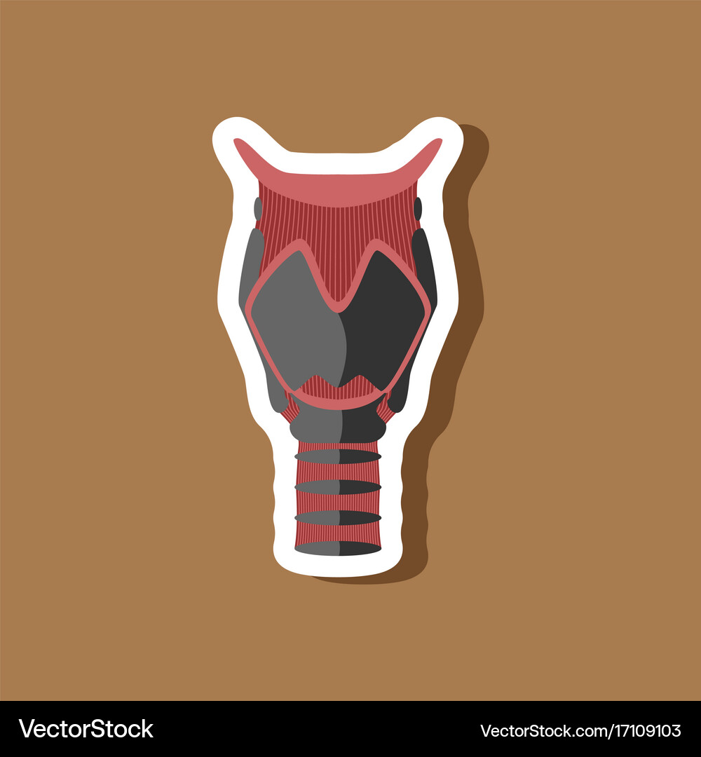Larynx paper sticker on stylish background Vector Image
