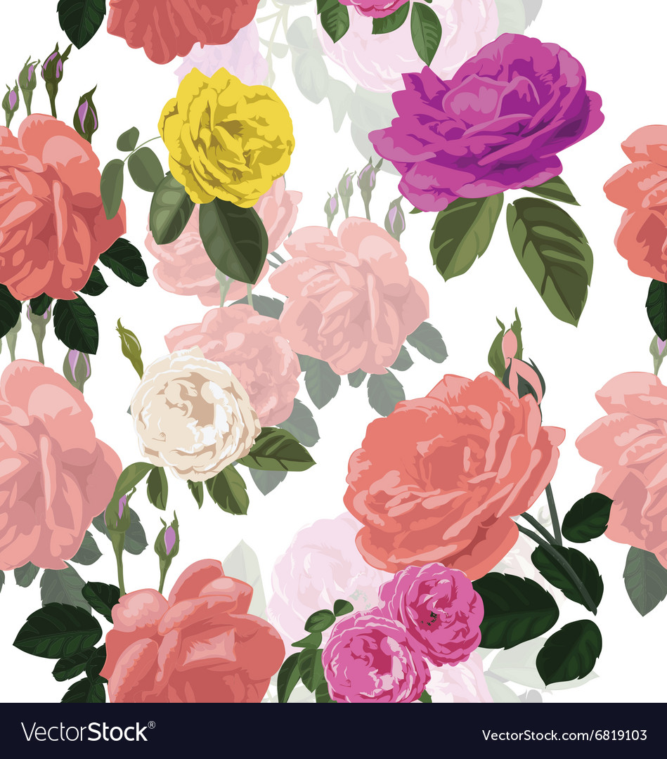 Rose Royalty Free Vector Image - VectorStock