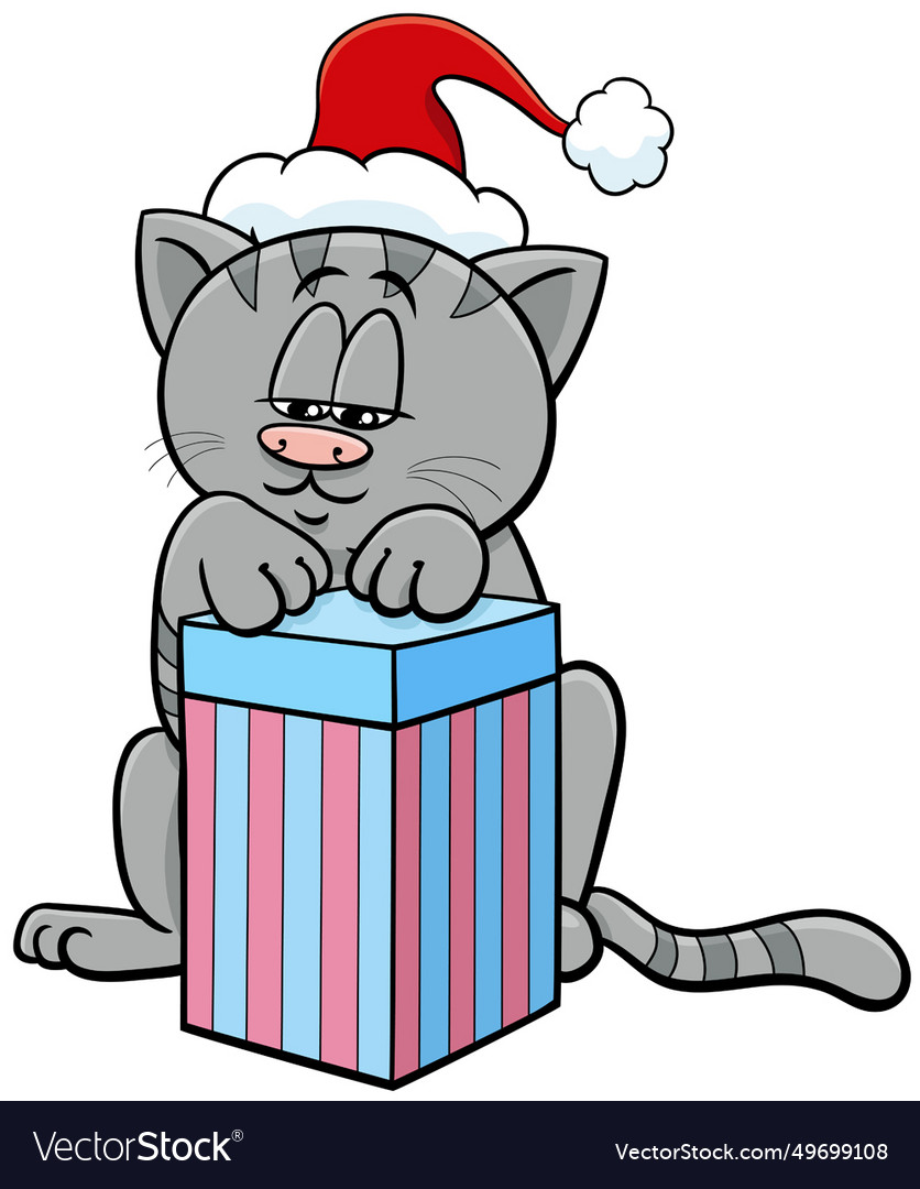 Funny cartoon cat with gift on christmas time Vector Image