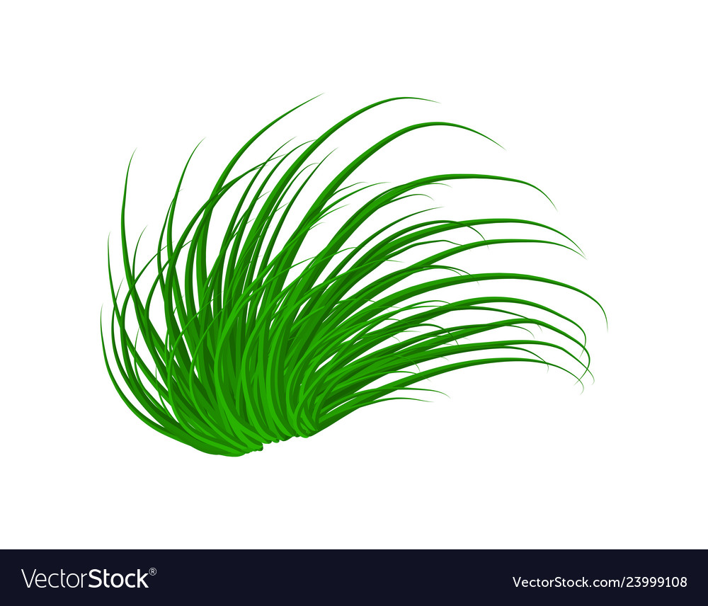 Grass symbol icon design beautiful isolated on Vector Image