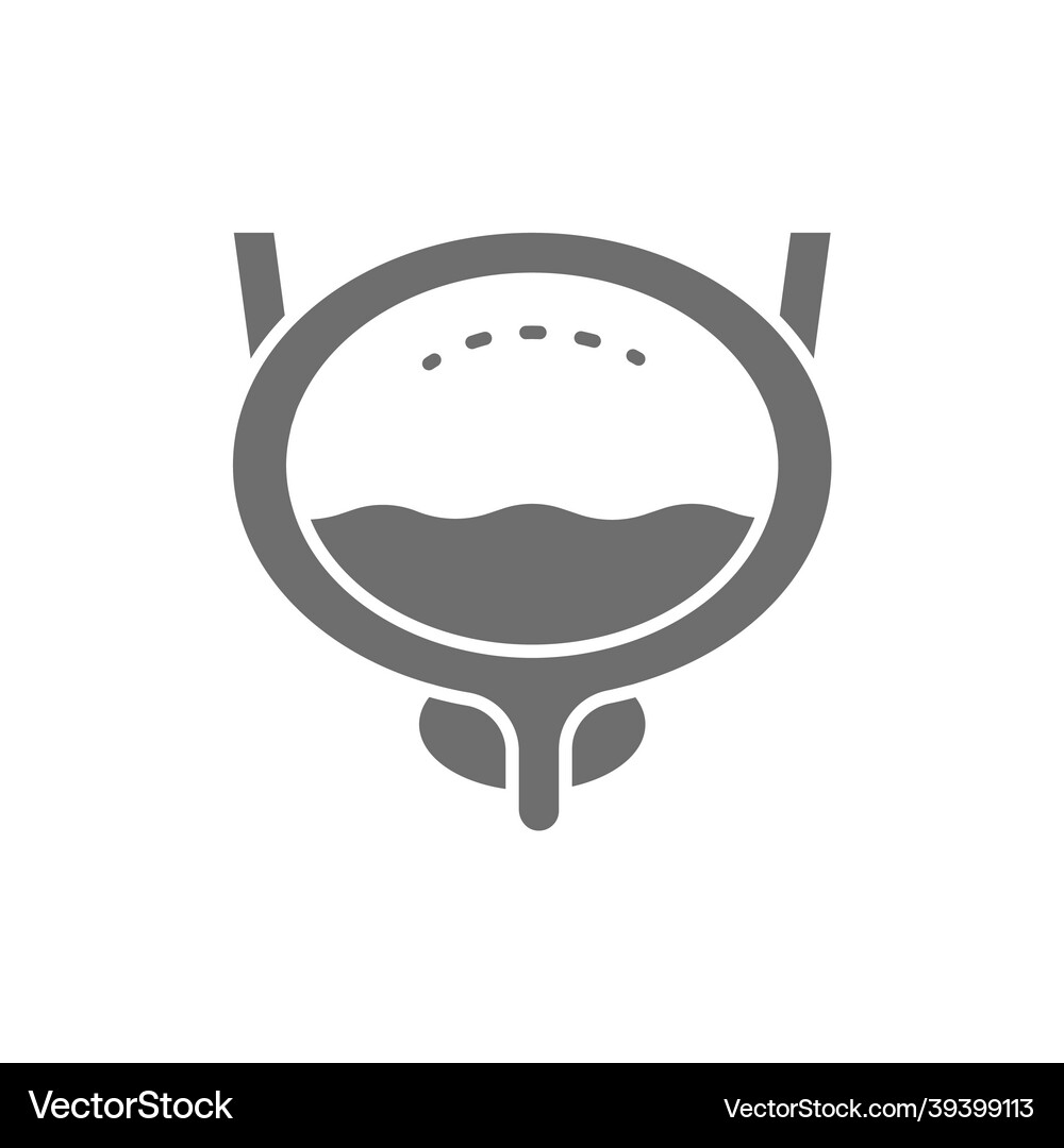 Bladder human organ urology grey icon isolated Vector Image